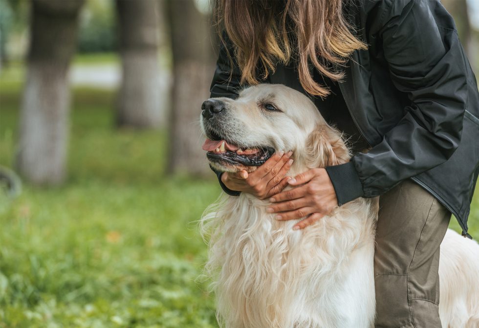 Award-Winning Dog Walking and Cat Sitting Services in the Minneapolis ...